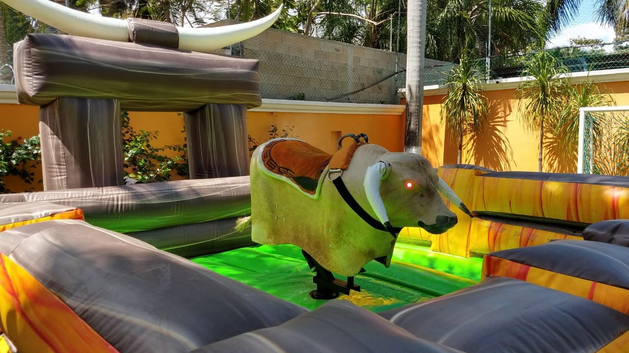 Renta de Toro Mecanico en Texcoco | Cotiza Tu Paquete